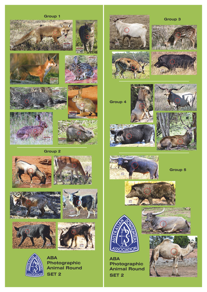 ABA Target Recognition Cards - Coloured Targets Set 2 – Australian ...